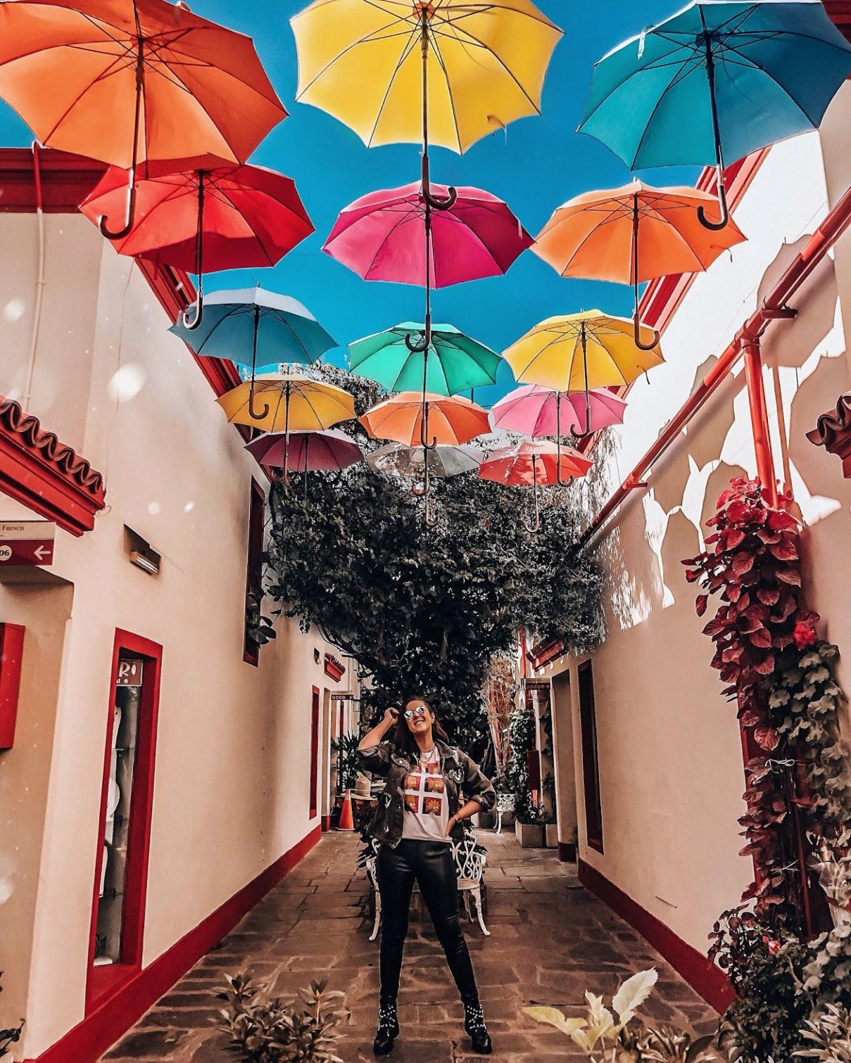 Tiendas instagrameables: Como ser un "trend" en las redes.