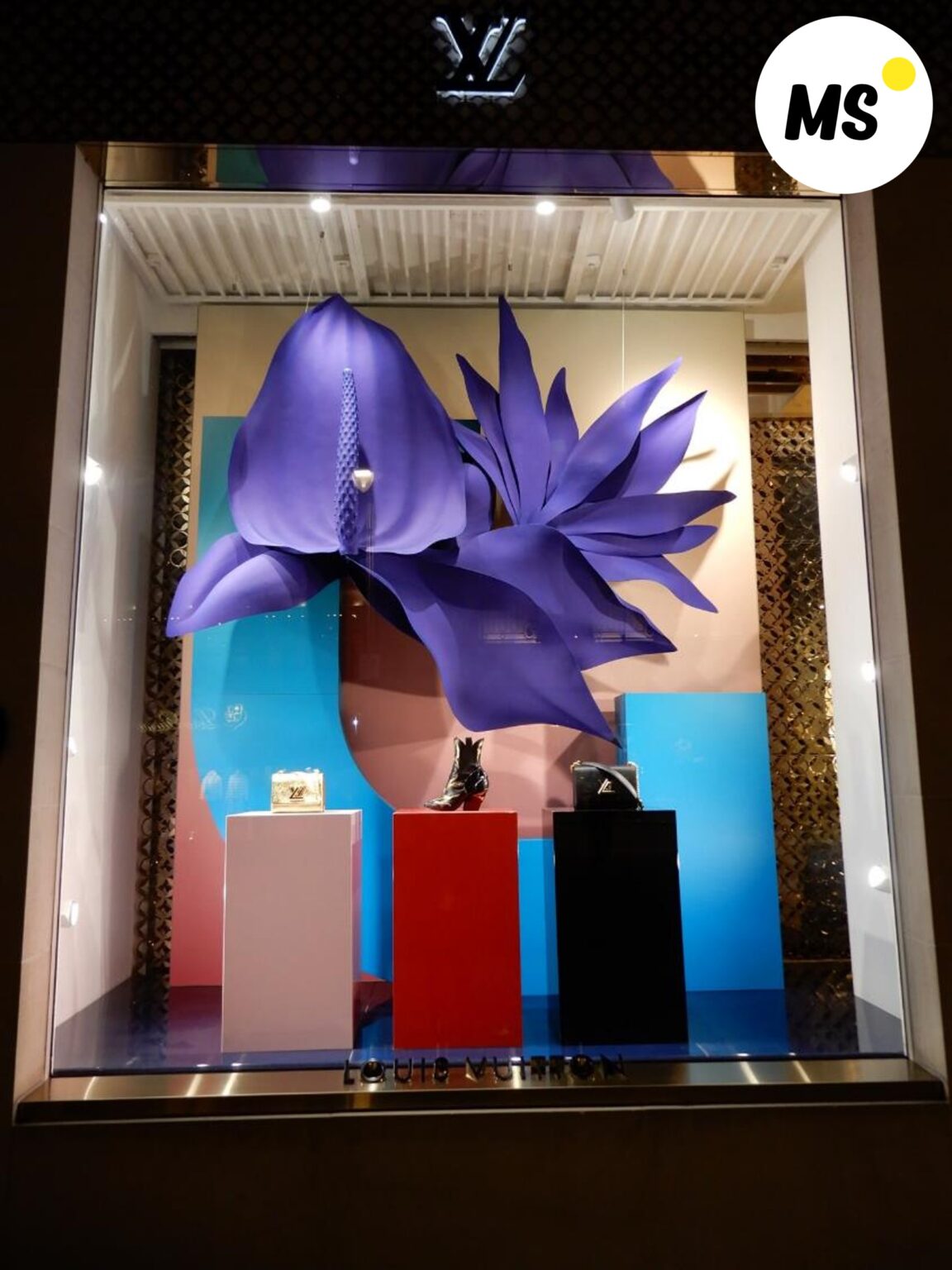 Escaparates Minimalistas - Marcela Seggiaro
